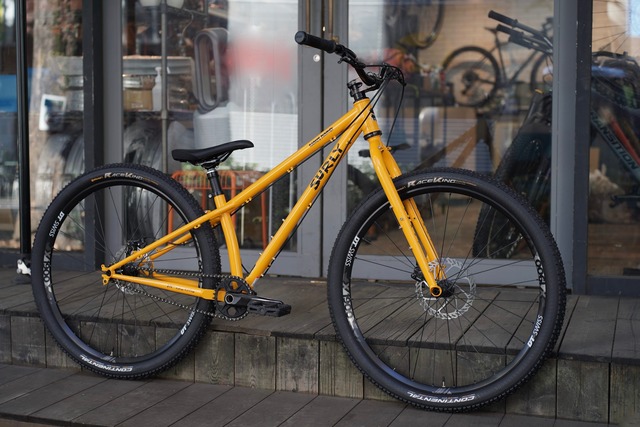 SURLY | MATTHEW CYCLE