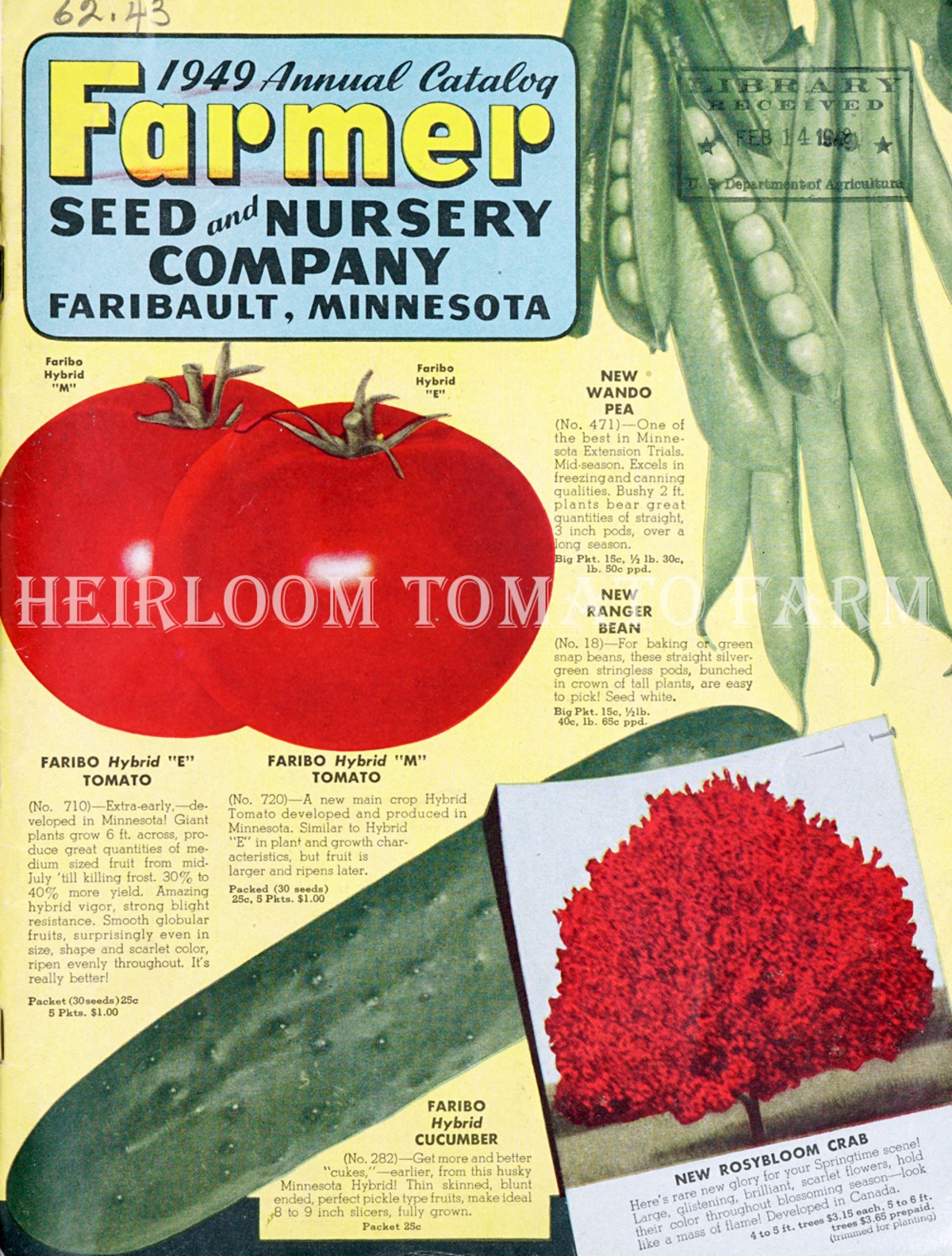 Heirloom Tomato® Faribo Hybrid "M"=Faribo Cross M エアルーム・トマト・ファリボ・ハイブリッド ...