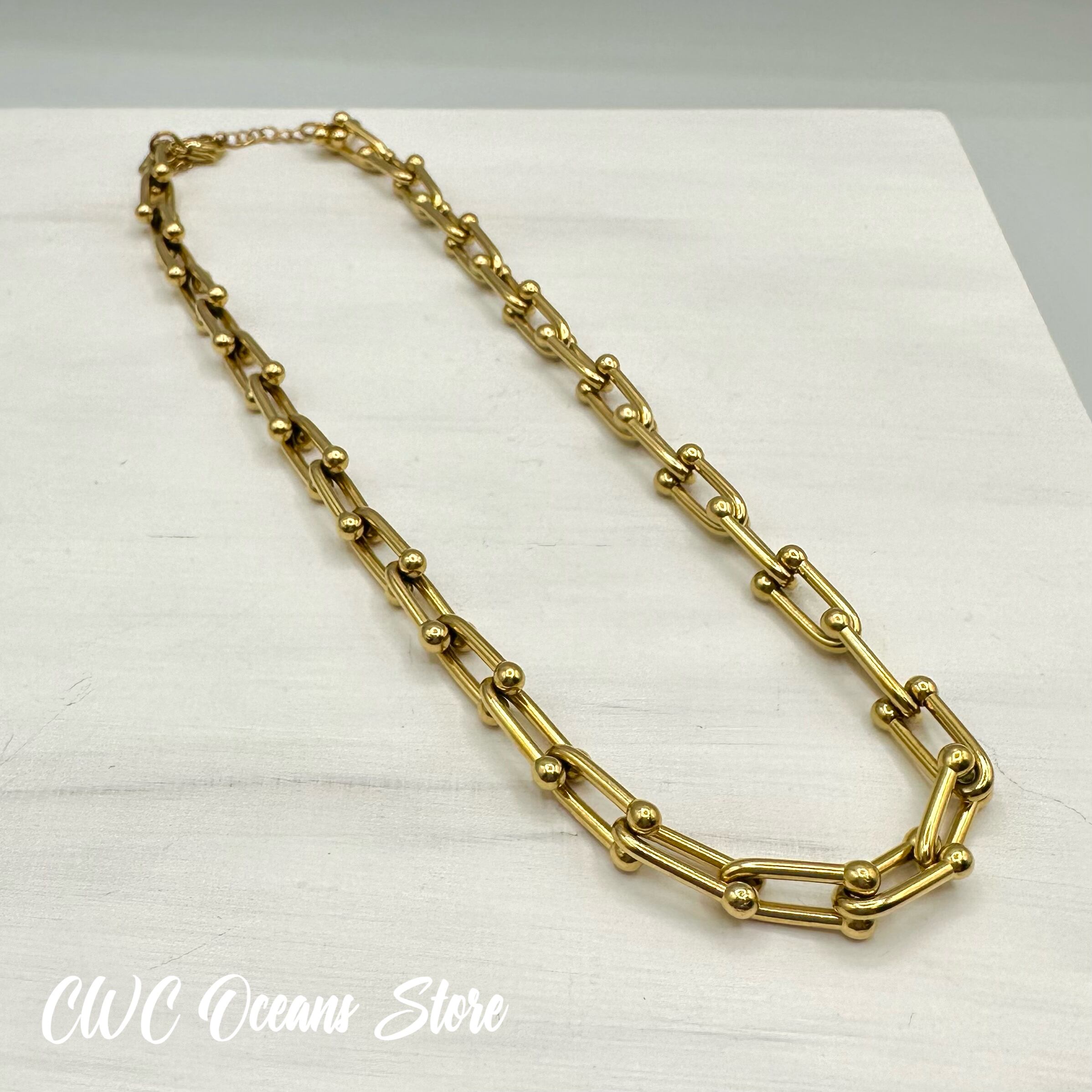Horseshoe chain necklace | CWC Oceans Store