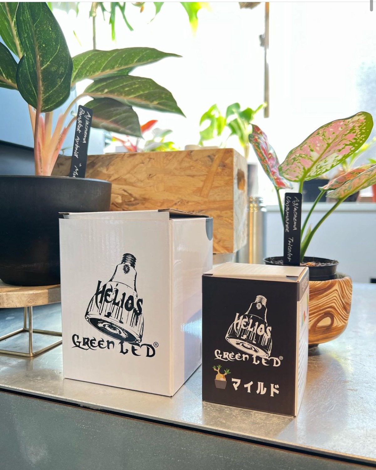 〝Helios Green LED HG24〟KAYO様専用ページ | LILY