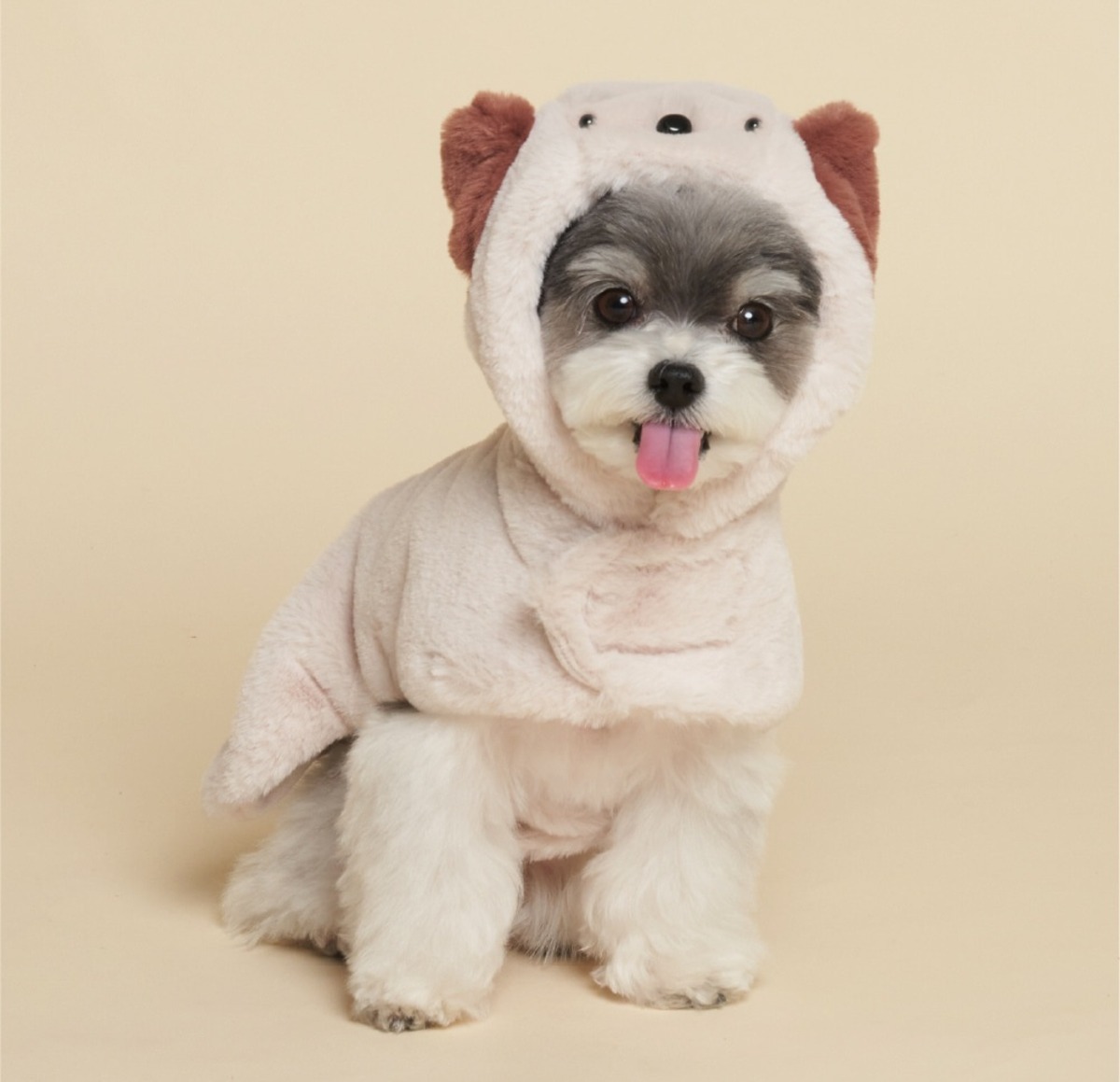 Badugi Cape BEIGE&BROWN Mサイズ From Korea | & poet.