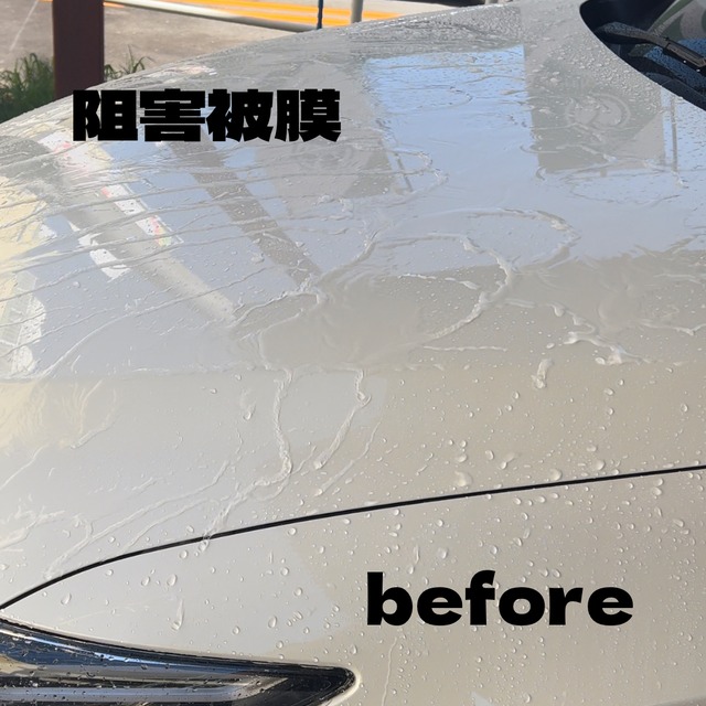 「Pixie LIQUID」be,BACK 特殊酸性ケミカル | tinkerworks