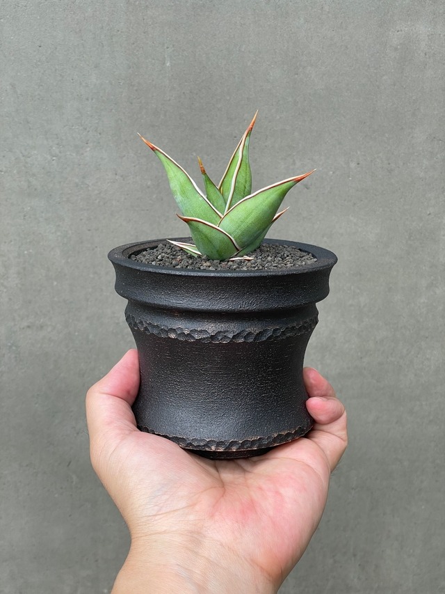 BB pot 23 -M- | Botanic Bomb
