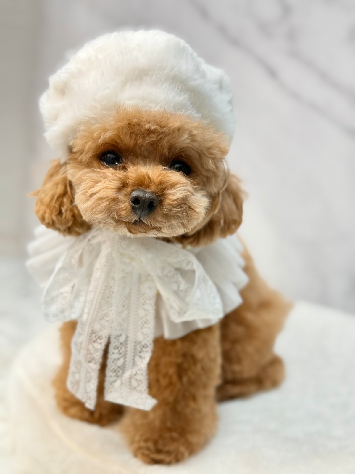 ふわふわベレー帽【即納】 | i3