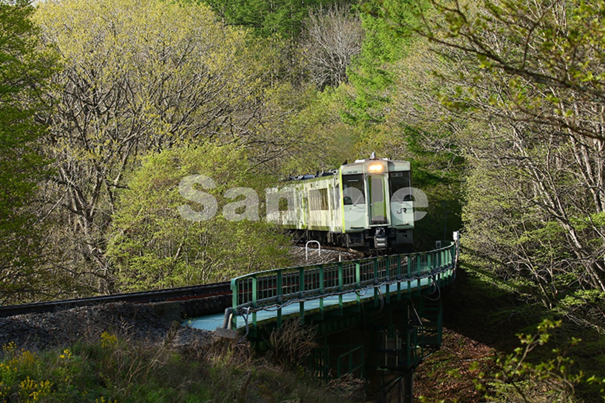 6Q5A8510B | meadowscape