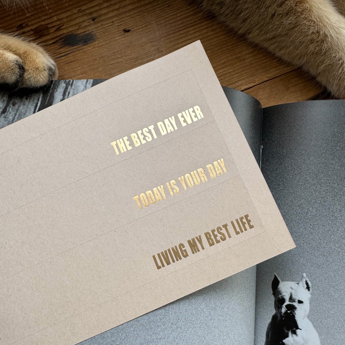 オリジナルステッカー | POPPYS HOUSE BASE店