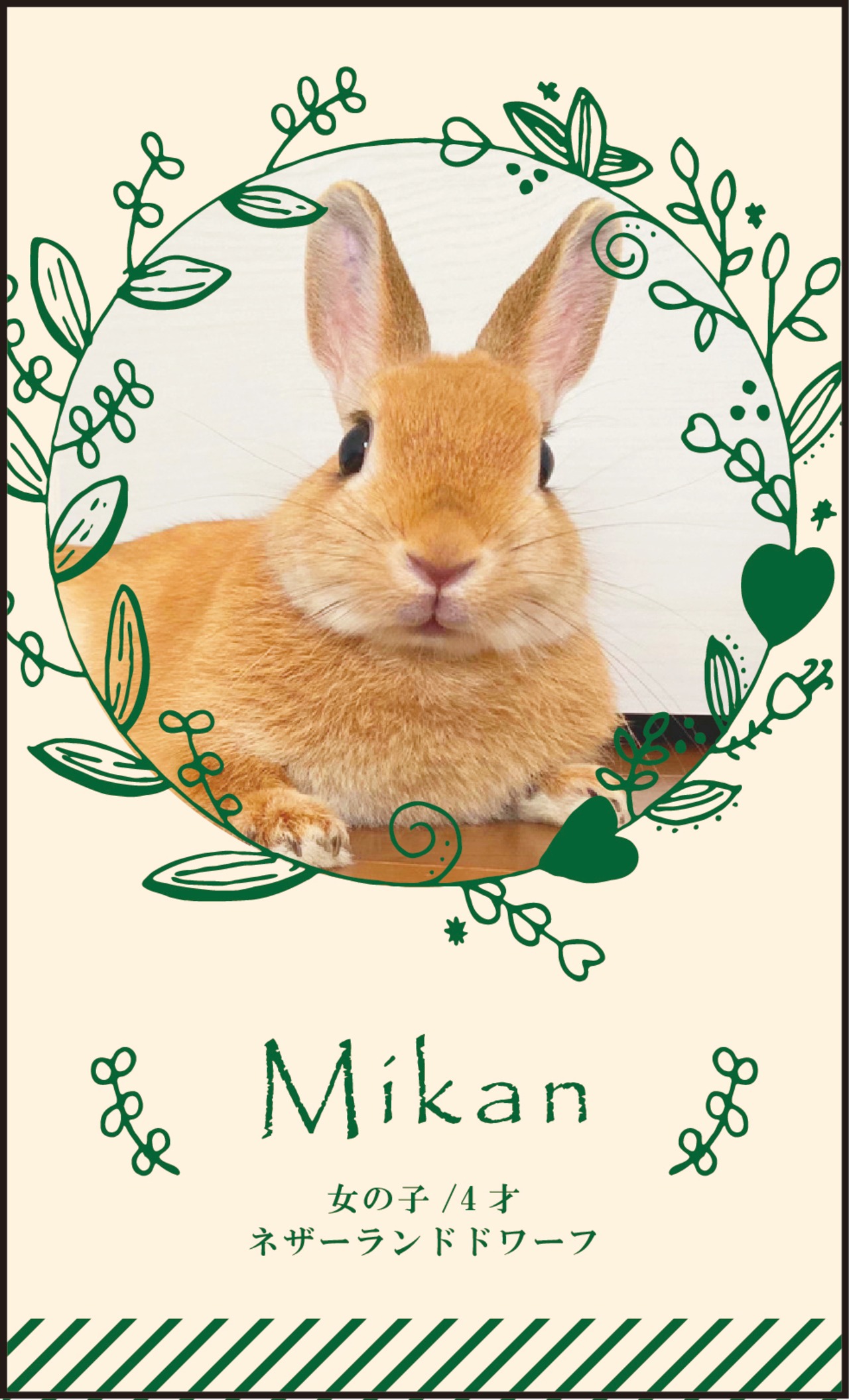 名刺 デザイン_ファンシー | moco me