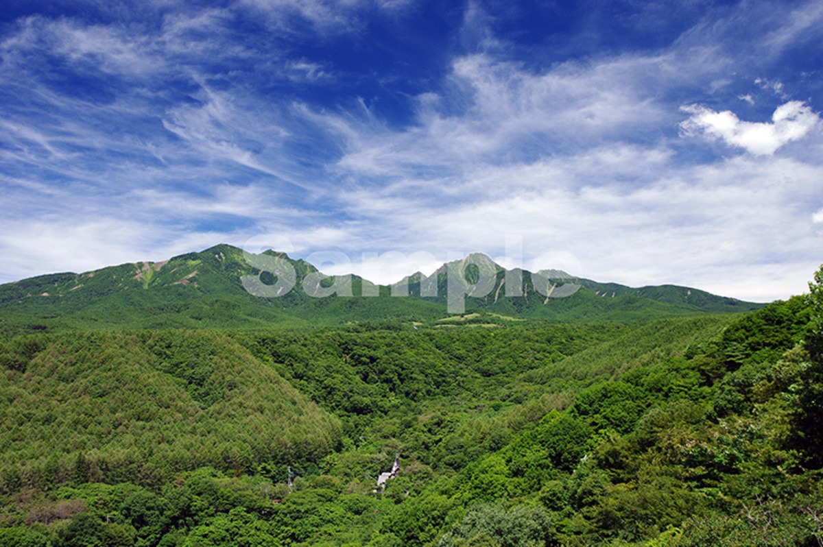 IMGP0017 2B | meadowscape