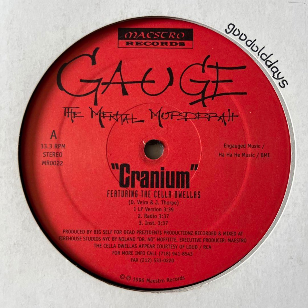 Gauge The Mental Murderah - Cranium | goodolddays