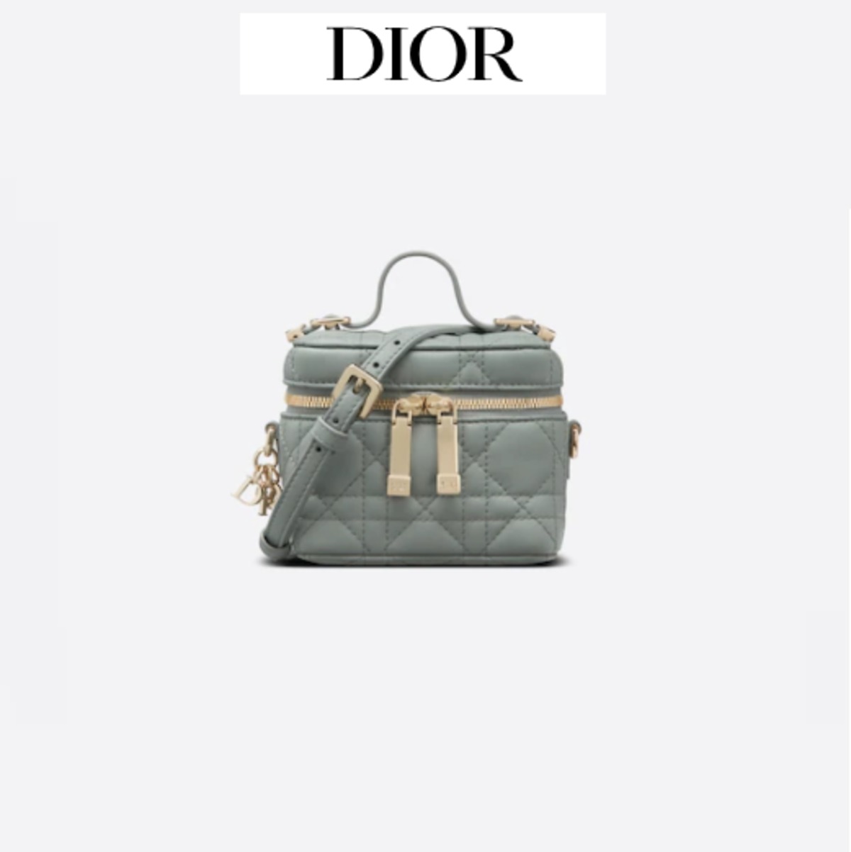 日本未入荷色！ 【DIOR】 マイクロ バニティ レディディオール | CELEV