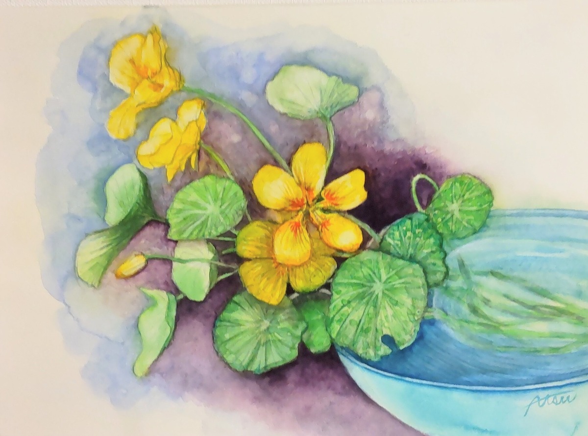 ナスタチウム ( F4 ) | gallery Atsu