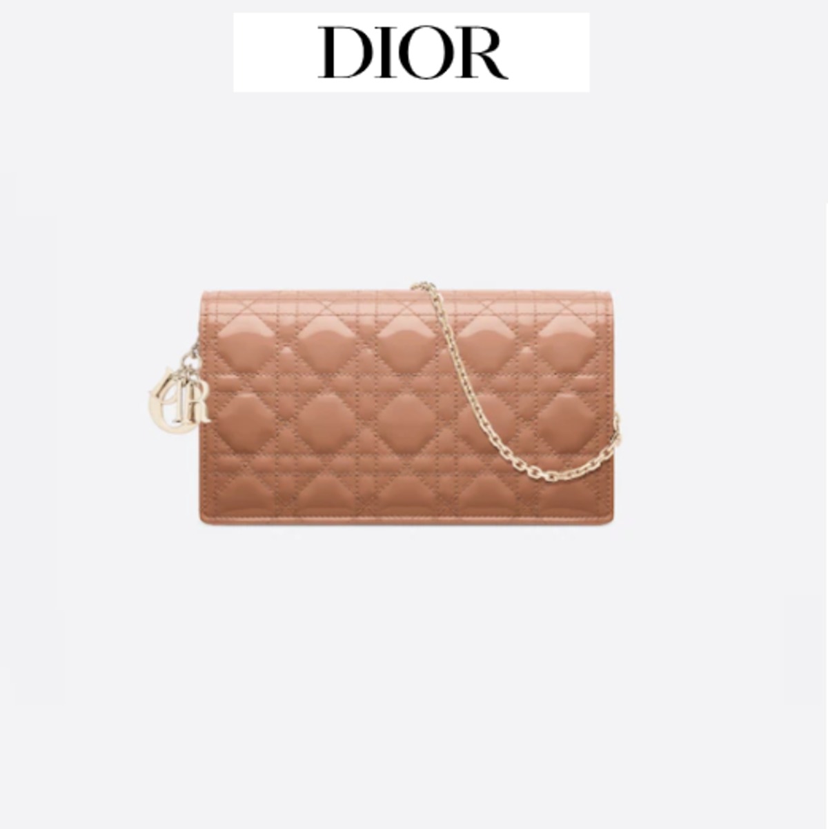日本未入荷色！ 【DIOR】 レディディオール クラッチ | CELEV