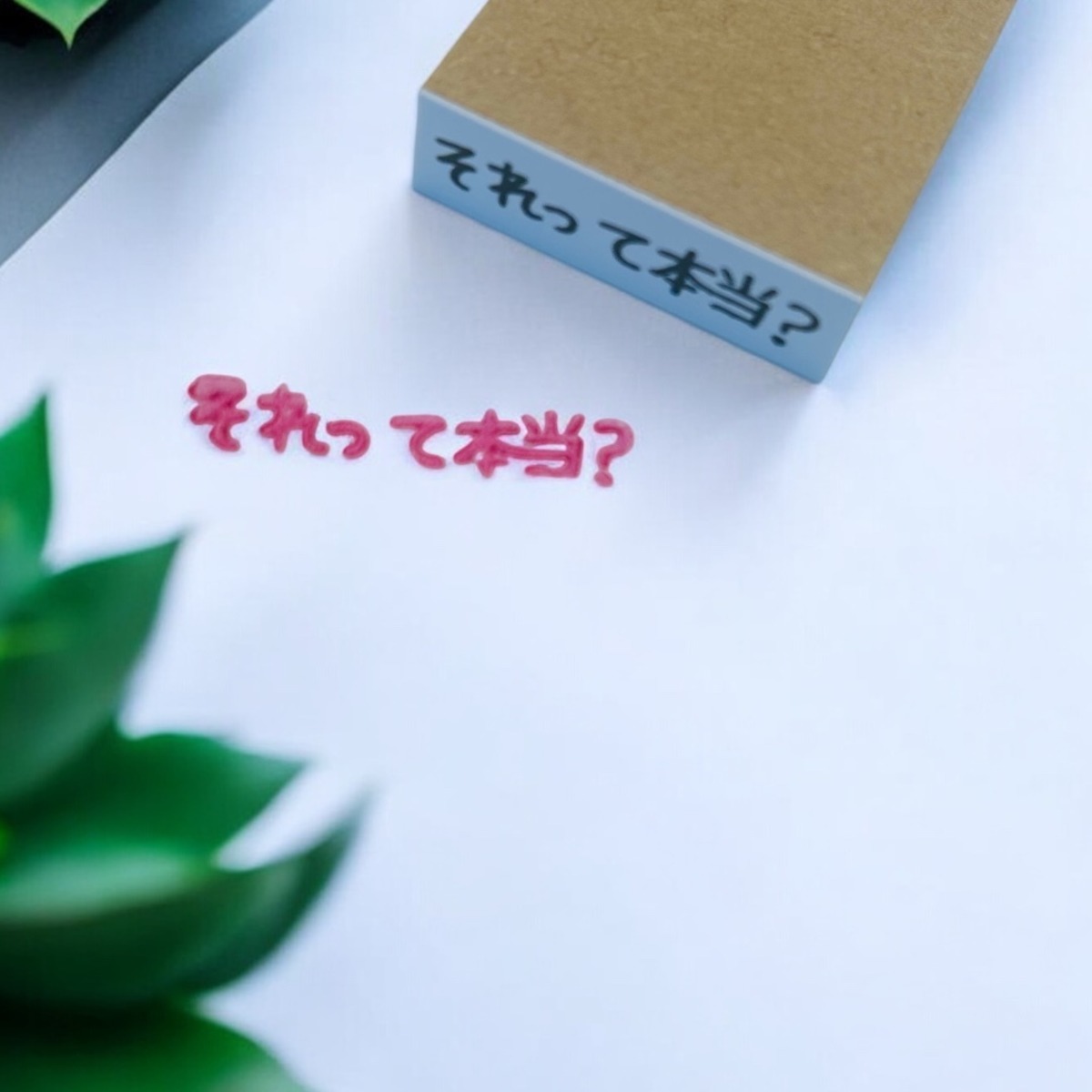 それって本当？(単品） | NASUKO STAMP