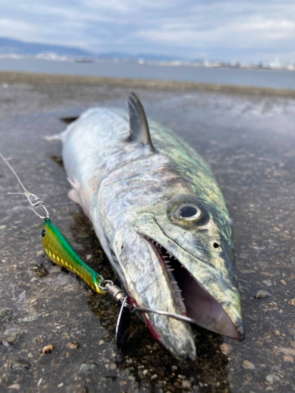 KEEP SPIN 25 | ルアーブランド KCE 通販サイト