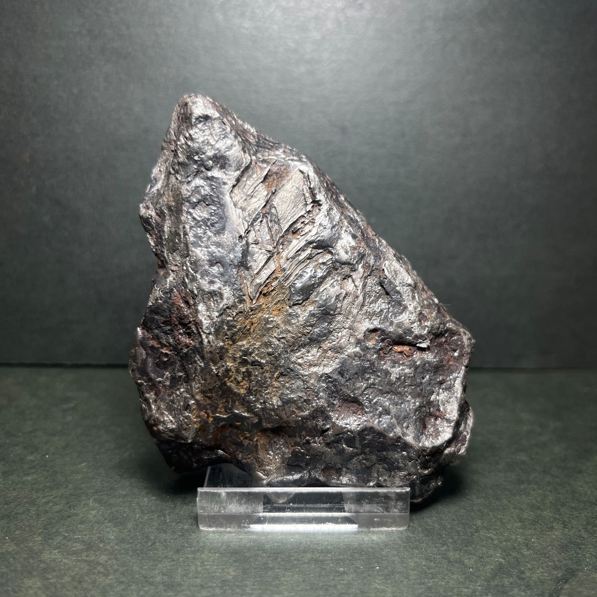 【大型】アルタイ隕石 Aletai Meteorite 25062406 | 【隕石屋】METEOS（メテオス）