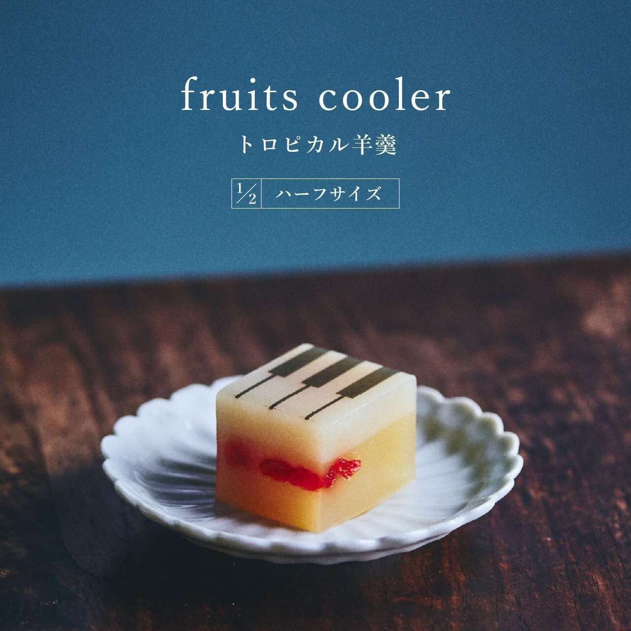 ハーフサイズ【限定セット・ギフトBOX入り】fruits coolerとclassicの2棹セット | 湯布院 ジャズとようかん