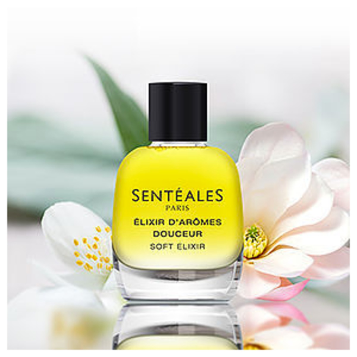 【乾燥肌・敏感肌専用ブースターオイル】ダローム ドゥスール（ÉLIXIR D'ARÔMES DOUCEUR）15ml | Belle perle