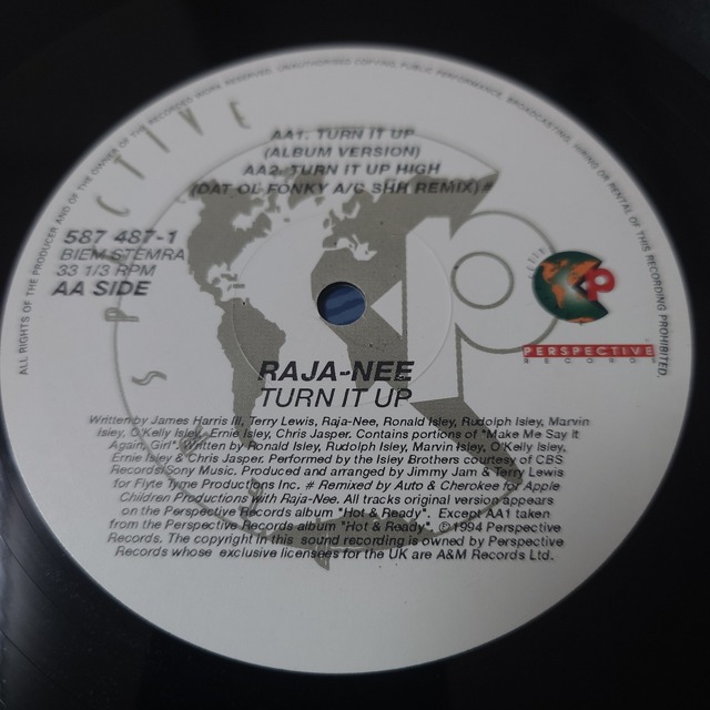 Raja-Neé - Turn It Up // Perspective Records 12inch / Raja Nee / レゲエ ...