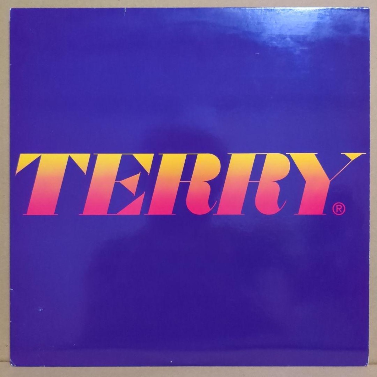V.A. / A Tribute to Terry Johnson Pillow Talks Part.2(10") | DELIC-A-TESSEN