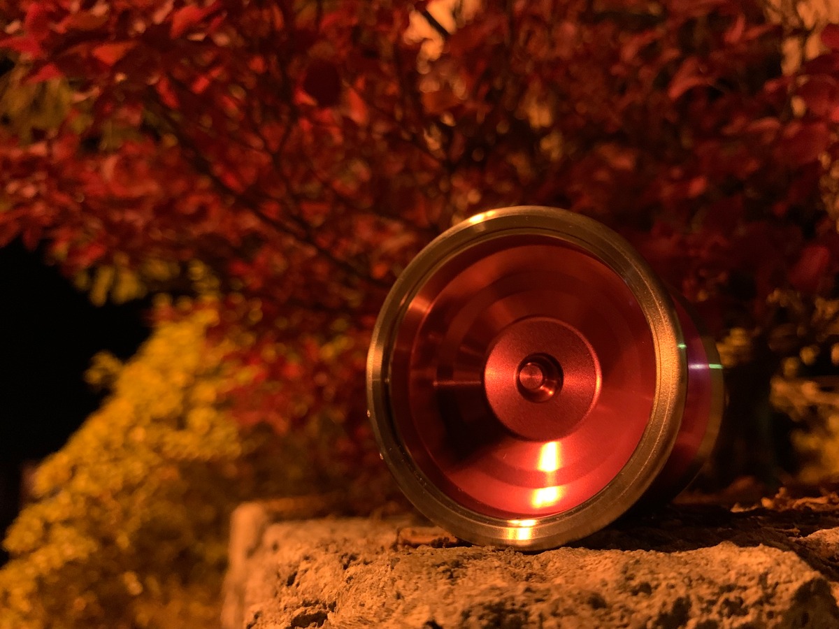 ASTer Raw/Raw rings with Shocking Pink Body | OSTRICH STORE