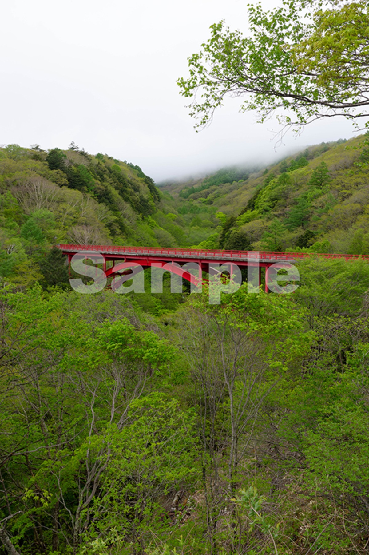 IMGP0094 2B | meadowscape