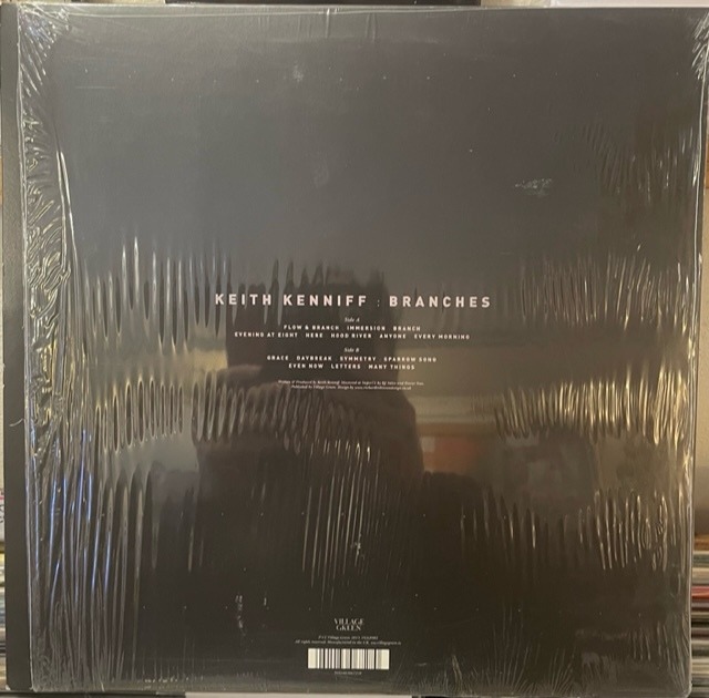 Keith Kenniff "Branches" LP | EAD RECORD