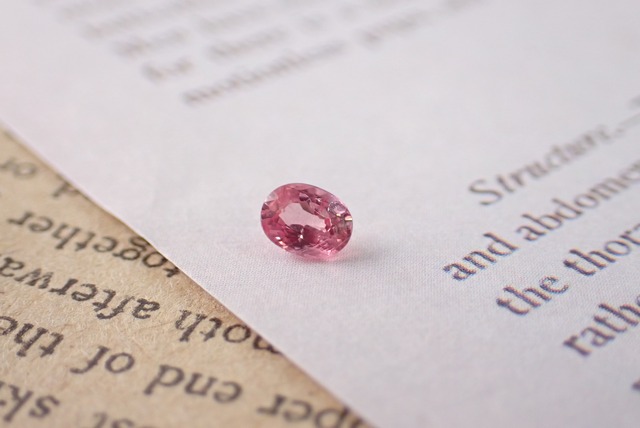 differencee(ディファレンシー)