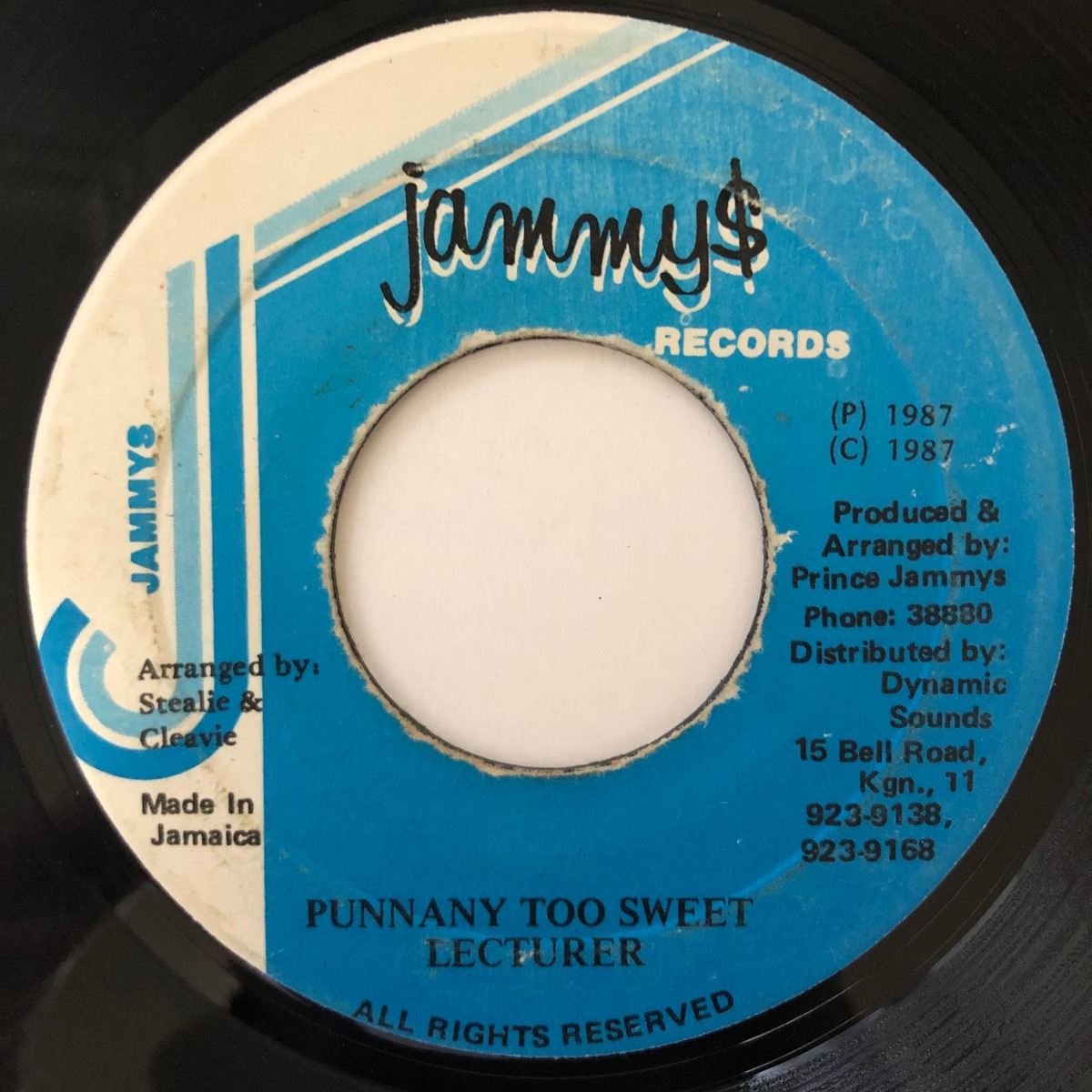 Lecturer - Punany Too Sweet【7-20684】 | Jamaican Soul
