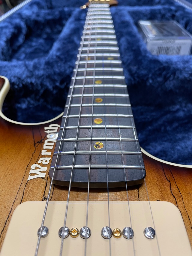 値下げ！！Warmothのオーダーボディとネックに厳選パーツで組み込んだハイエンドギター！ | LEG MUSIC PRO.