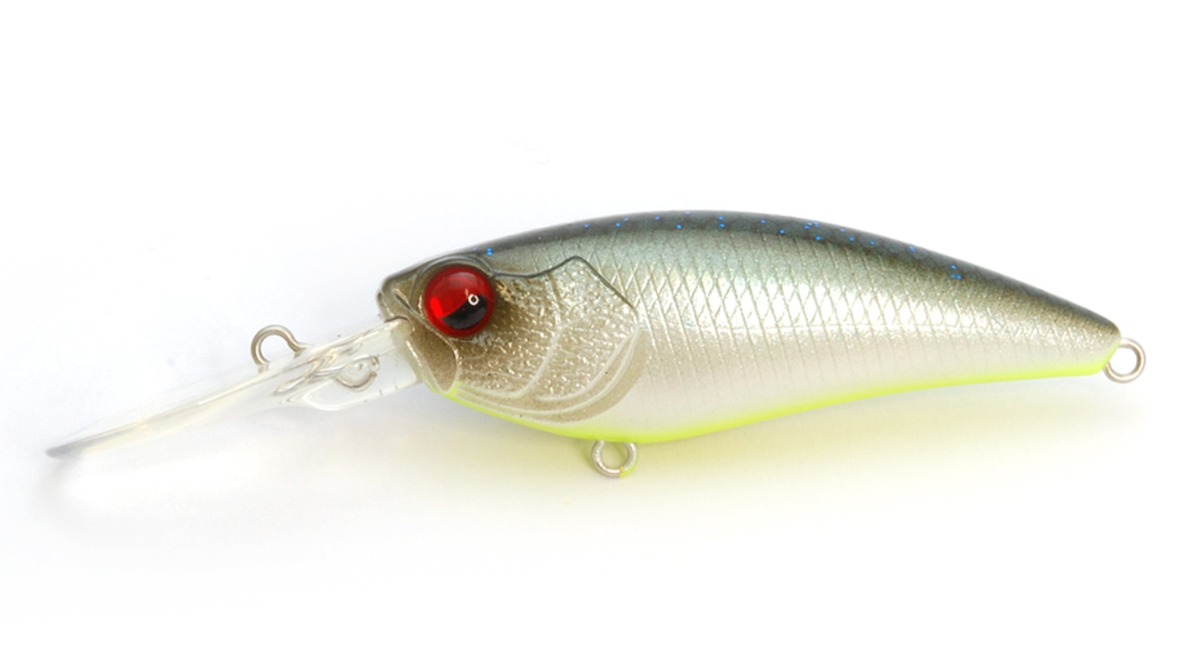 RAID）LEVEL SHAD レベルシャッド | matsukinet