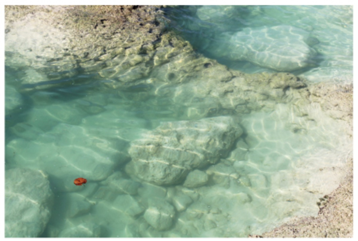 GREEN LAGOON | KYOKO ENDO