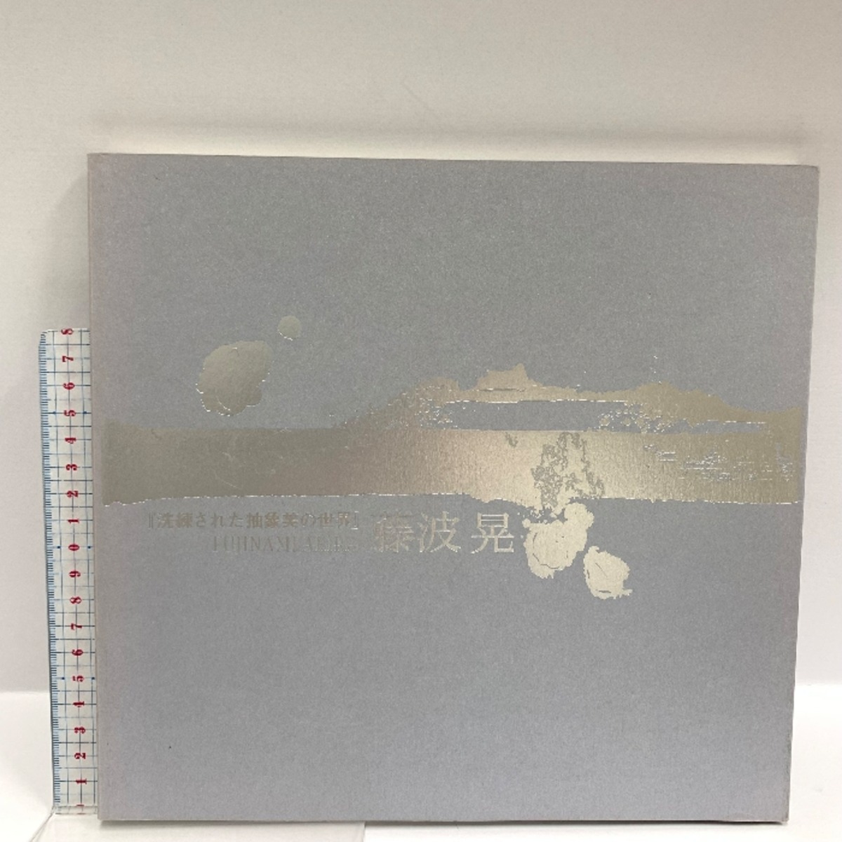 図録 藤波 晃 FUJINAMI AKIRA 芸術科学研究会 2005 | RecycleStore あかつき
