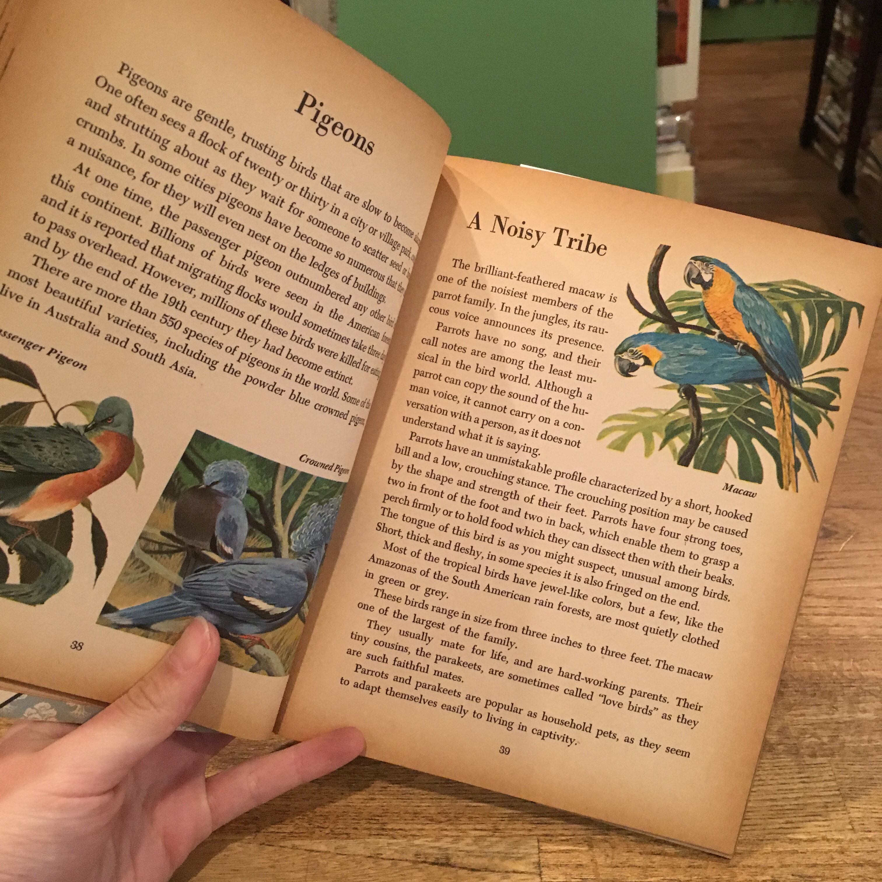 Birds of the World -An Introduction to the Study of Birds：Eunice ...