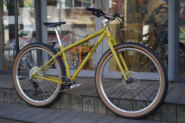 SURLY | MATTHEW CYCLE