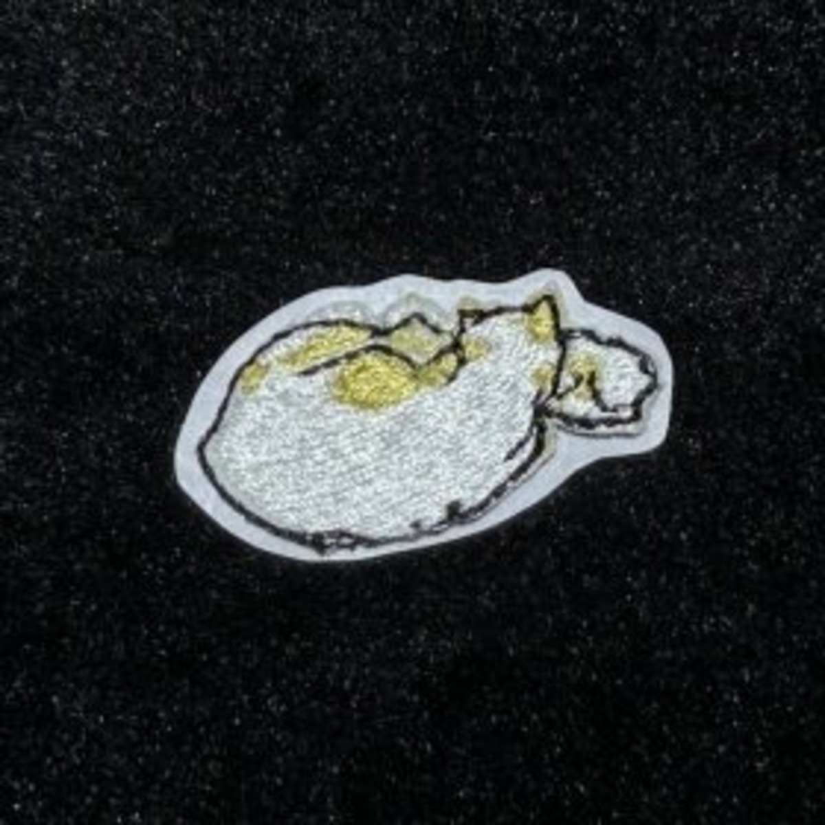 猫飼好五十三疋 平塚 | studio yossy