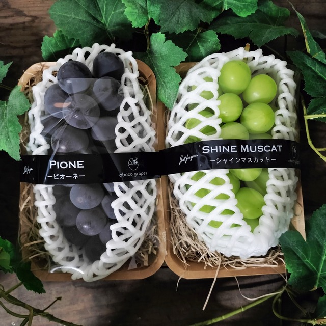 oboco grapes online shop