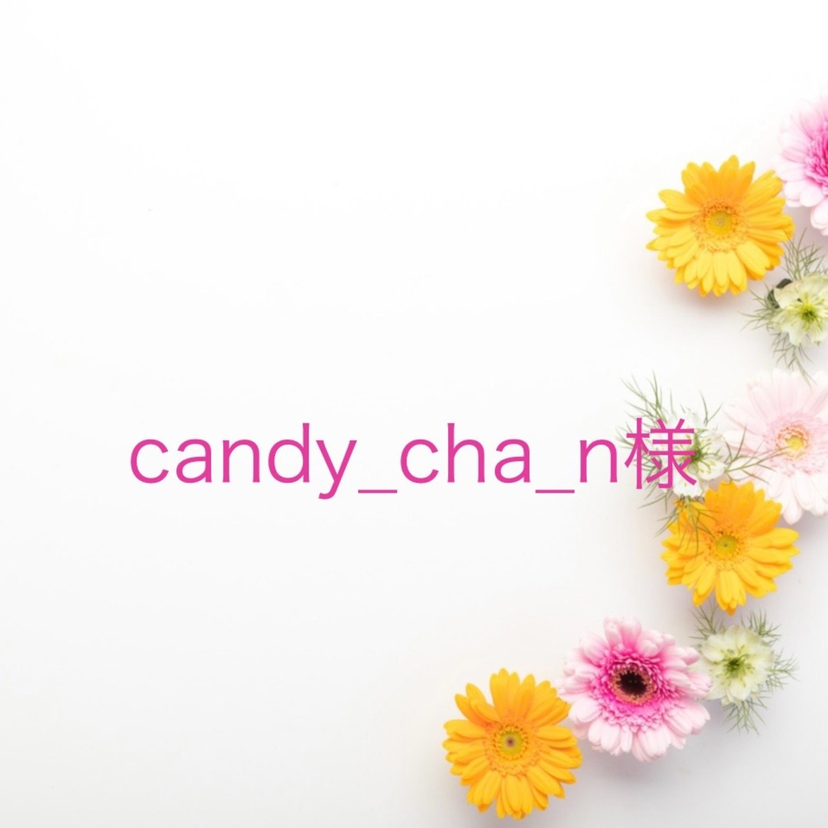 candy_cha_n様 5/25まで | Node Jewelry