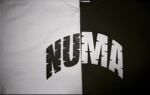 L.S.A outdoor（lsa）