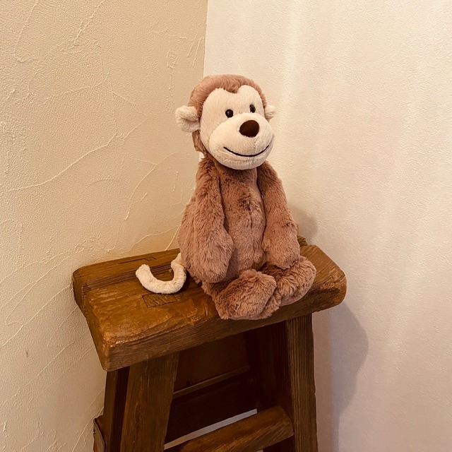 Bashful Monkey 【Medium】 | ruban