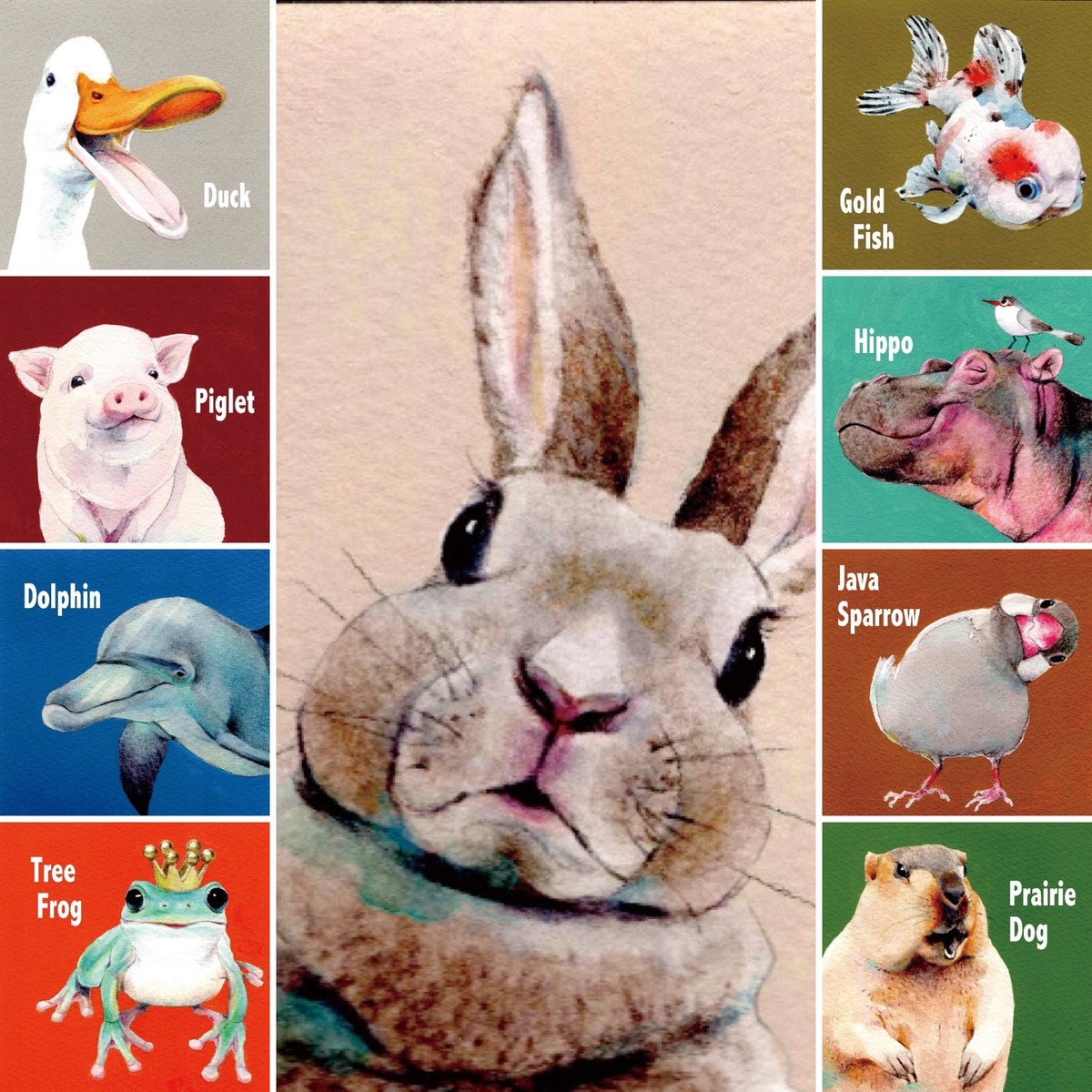 たいみずえ アソート-5個 | moripen