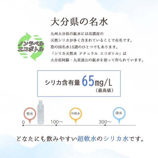 シリカ水 ナチュラル 525ml 40本 | レモンの木