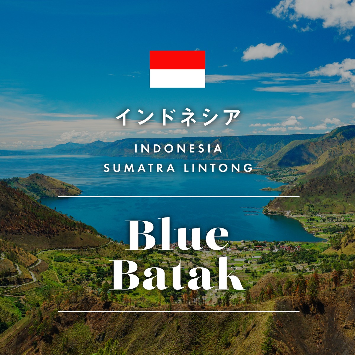 Blue Batak 100g | 寝屋川焙煎所