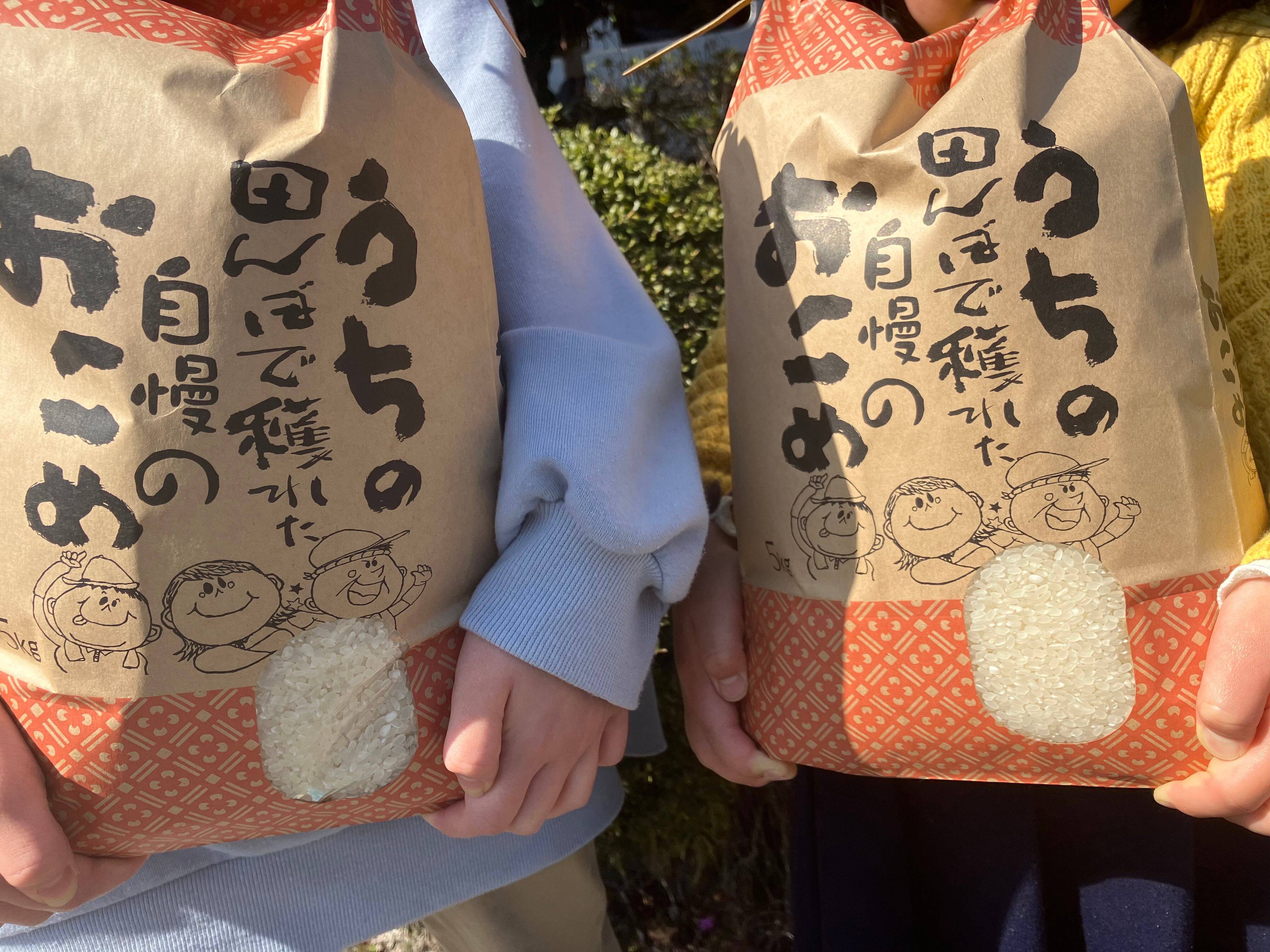 新米 ひのひかり 10kg（5kg×2）山口県岩国産 | yama-moto-farm いちご農園（岩国市）イチゴ くり