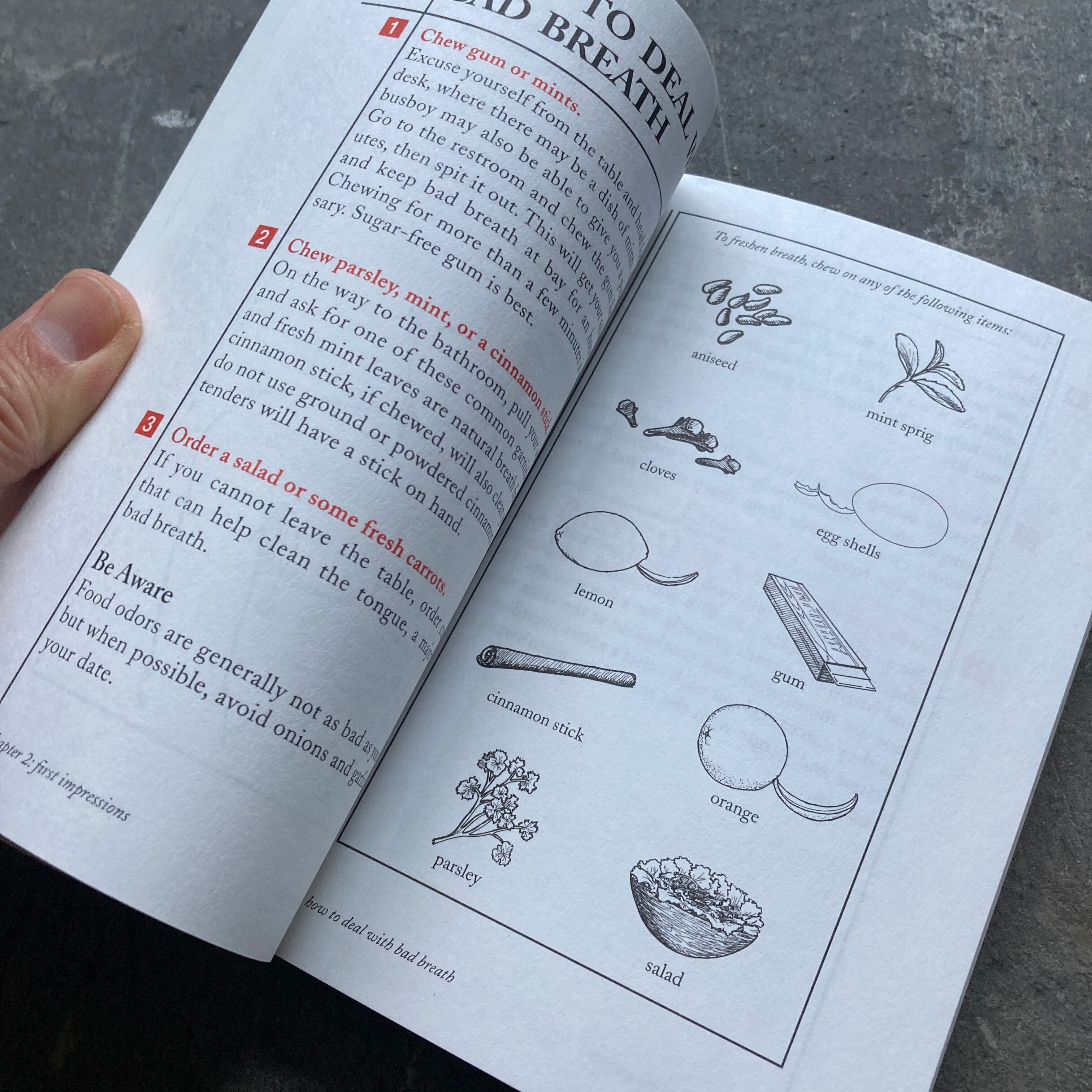 The Worst Case Scenario Survival Handbook Dating And Sex Catalogandbooks