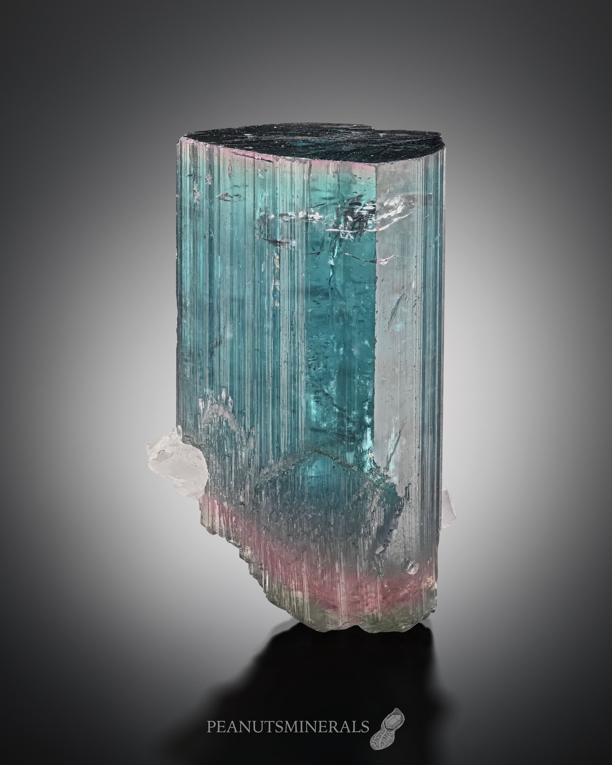 エルバイト【Elbaite】ブラジル産 | PEANUTS MINERALS