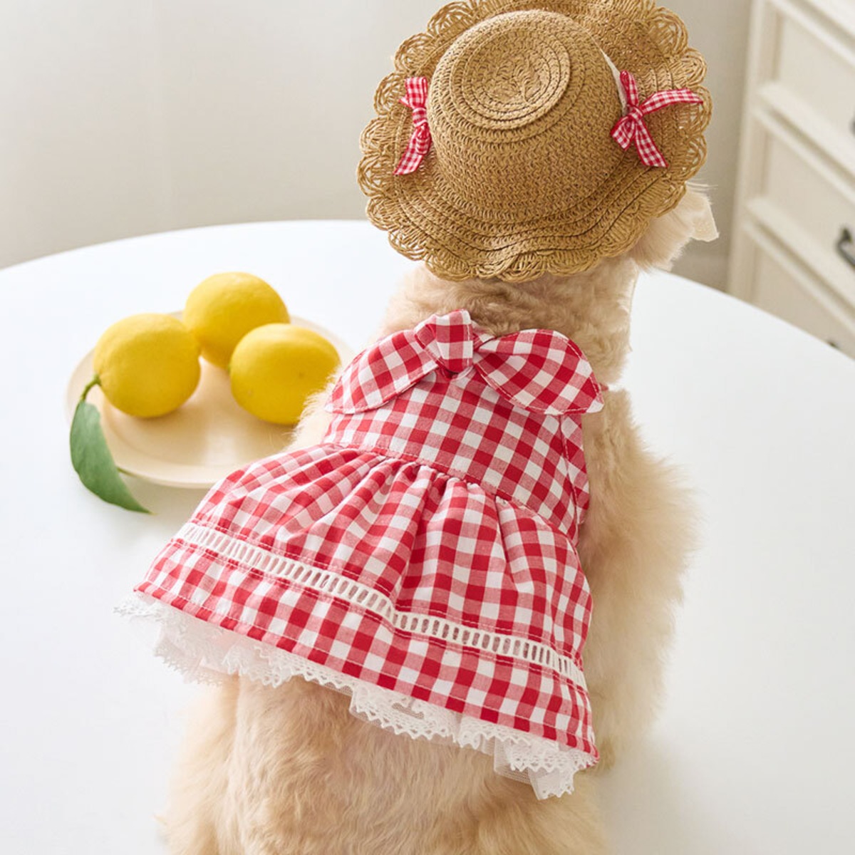 S.SM/即納【It’s Sunny Outside】Picnic Love Bustier (RedCheck) | haneulpet