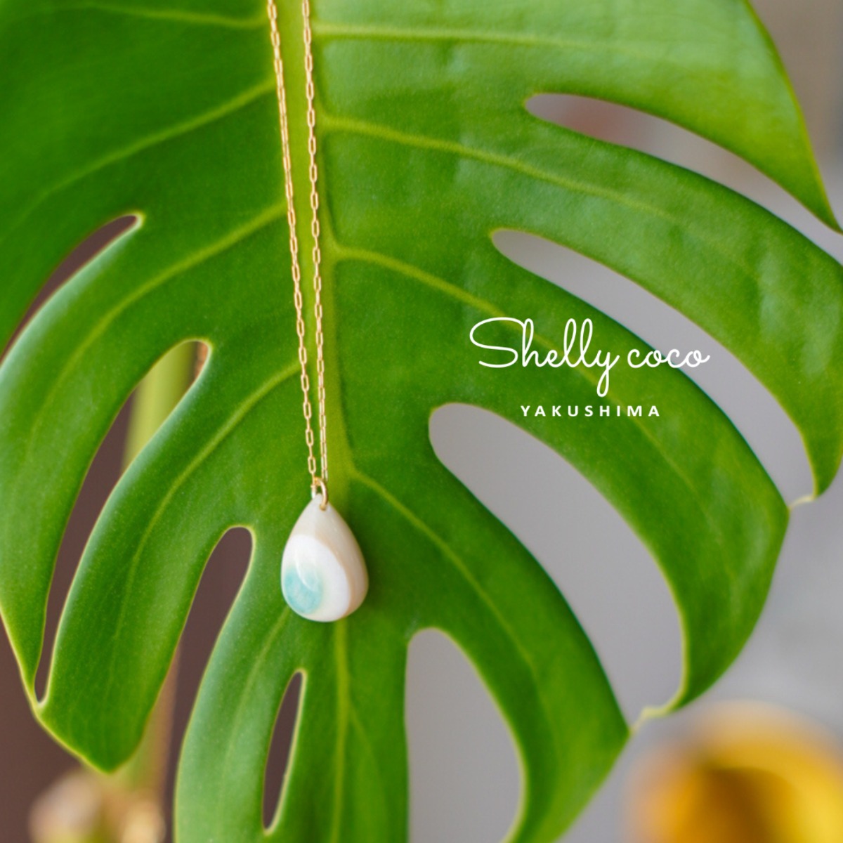夜光貝しずくネックレス | Shelly coco -シェリーココ-