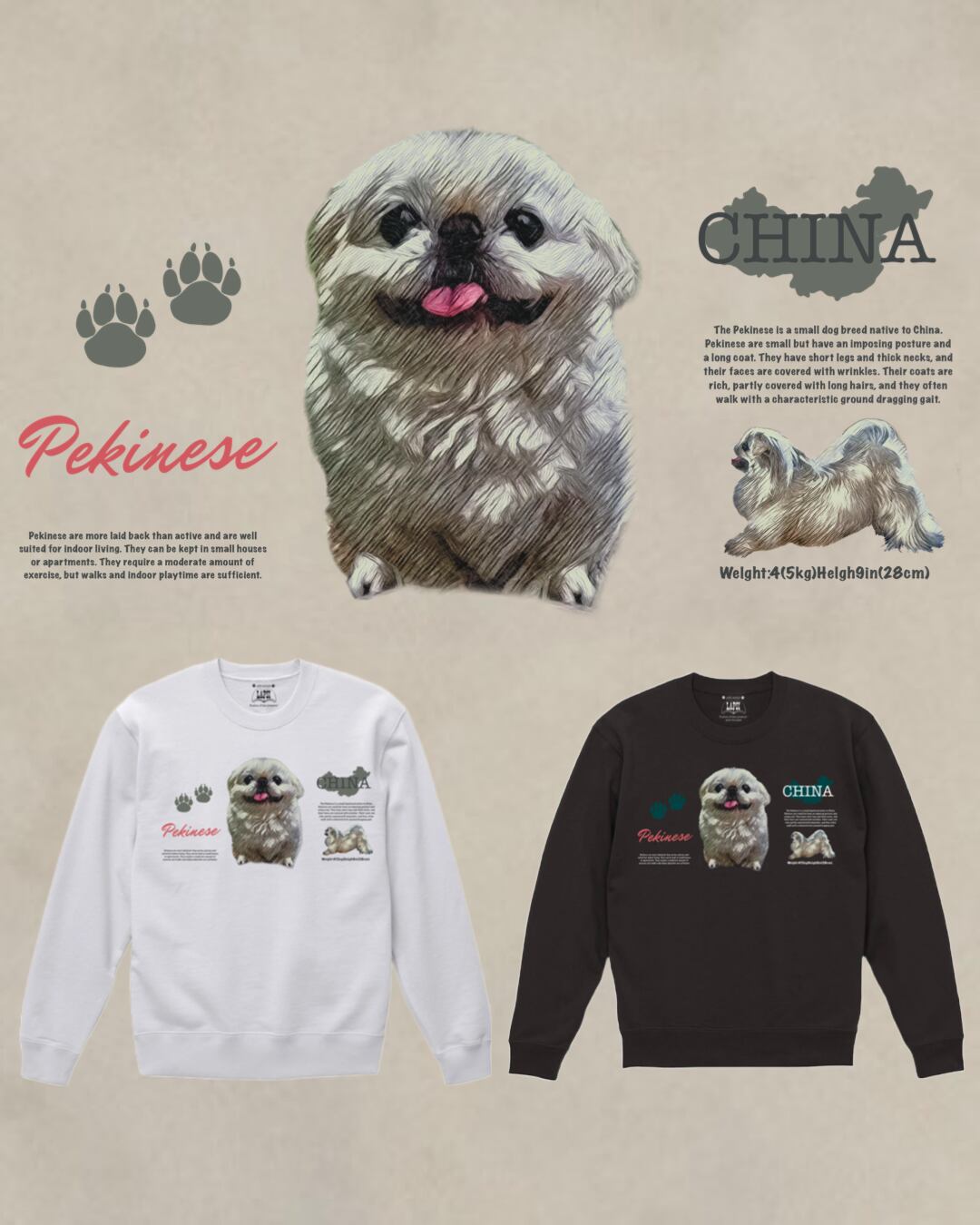 LAPSI DOG BOOK pekingese crew neck sweatshirt | Pay ID
