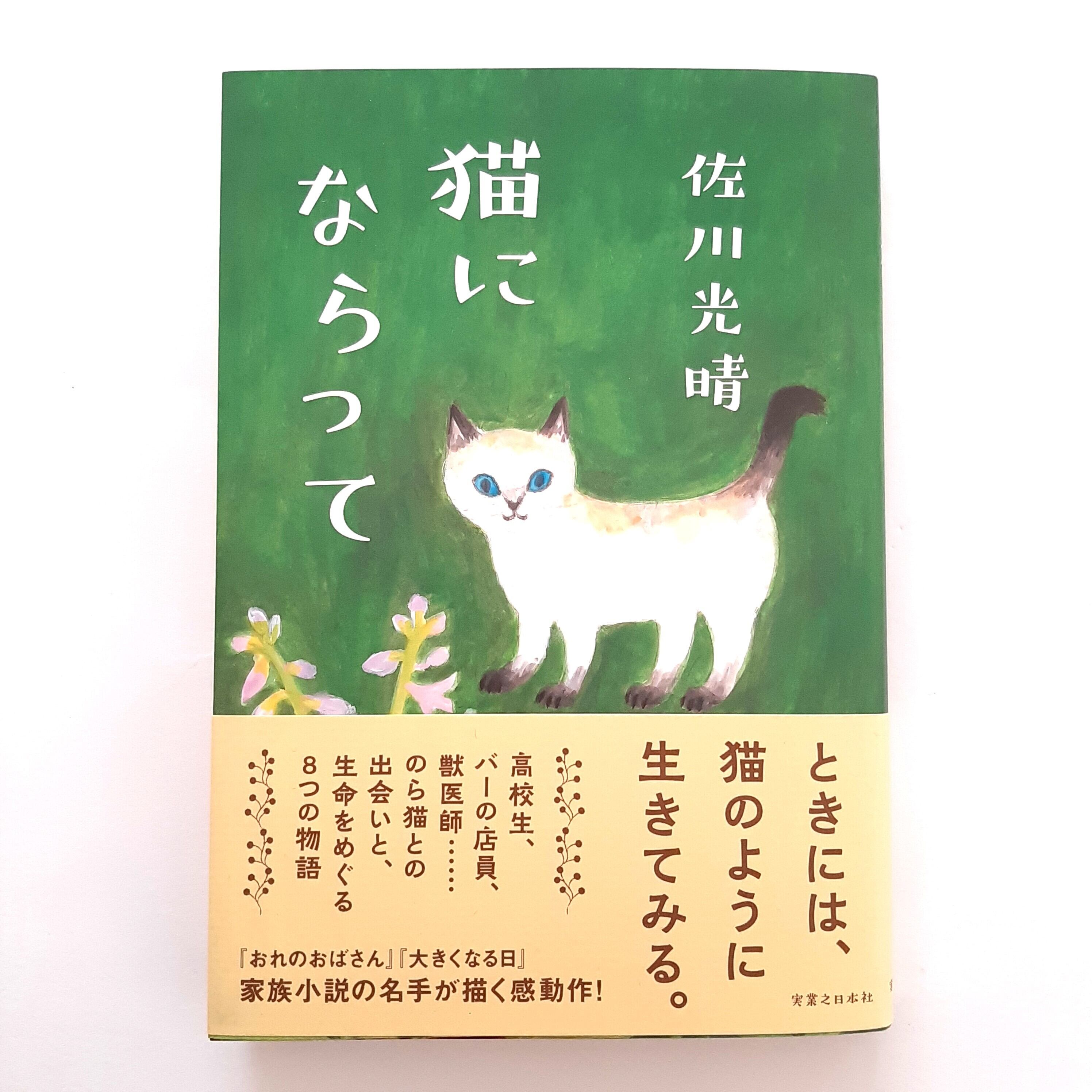猫にならって ねこのみち