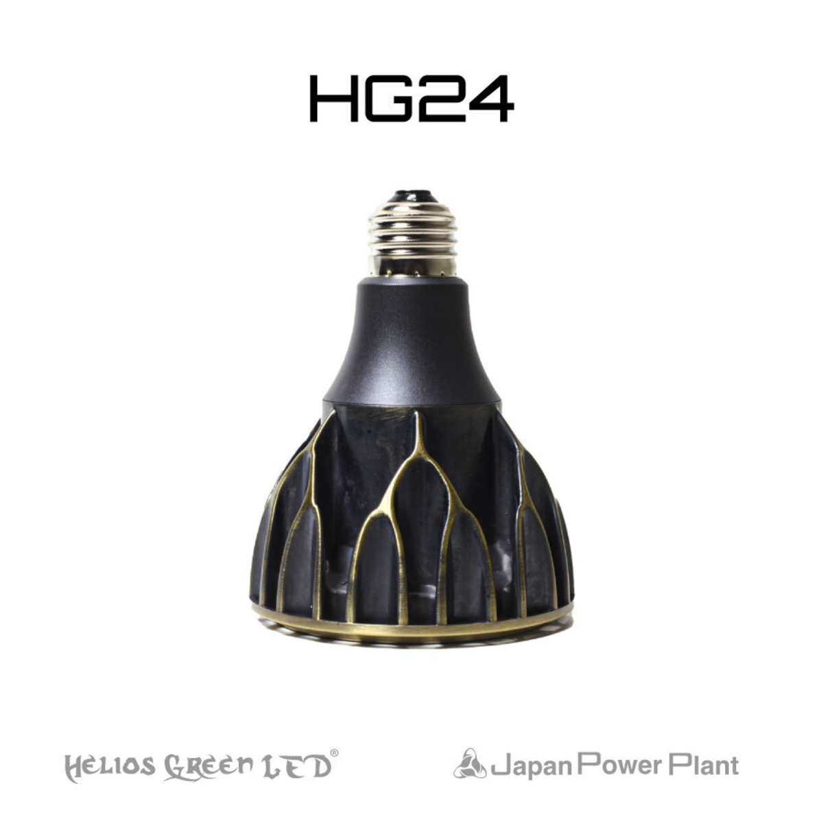 Helios Green LED HG24 Vintage 数量限定 | JPP ONLINE